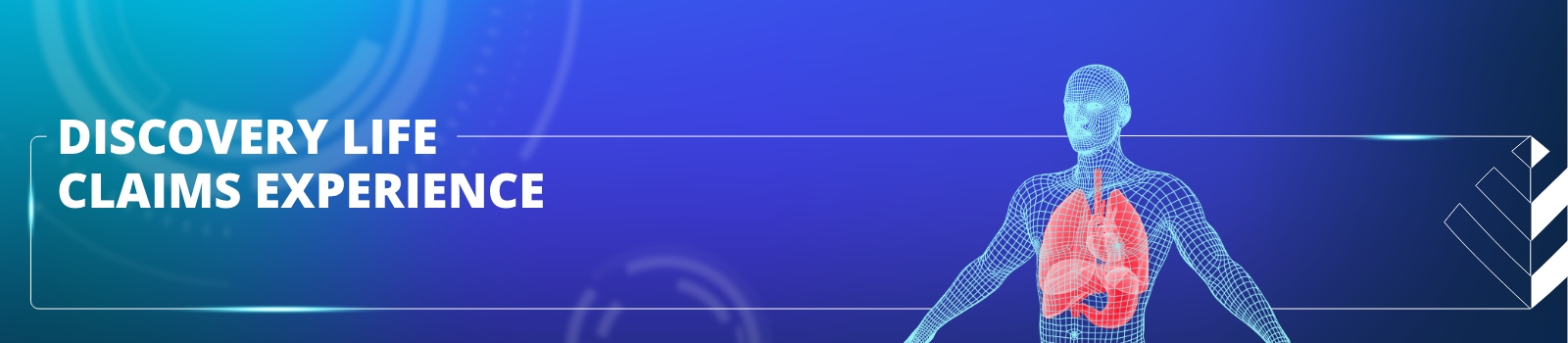 Discovery Life Claims Experience - Discovery