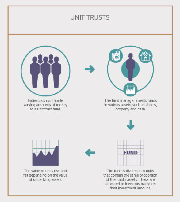 Investment 101 | Top 6 Investment Questions - Discovery